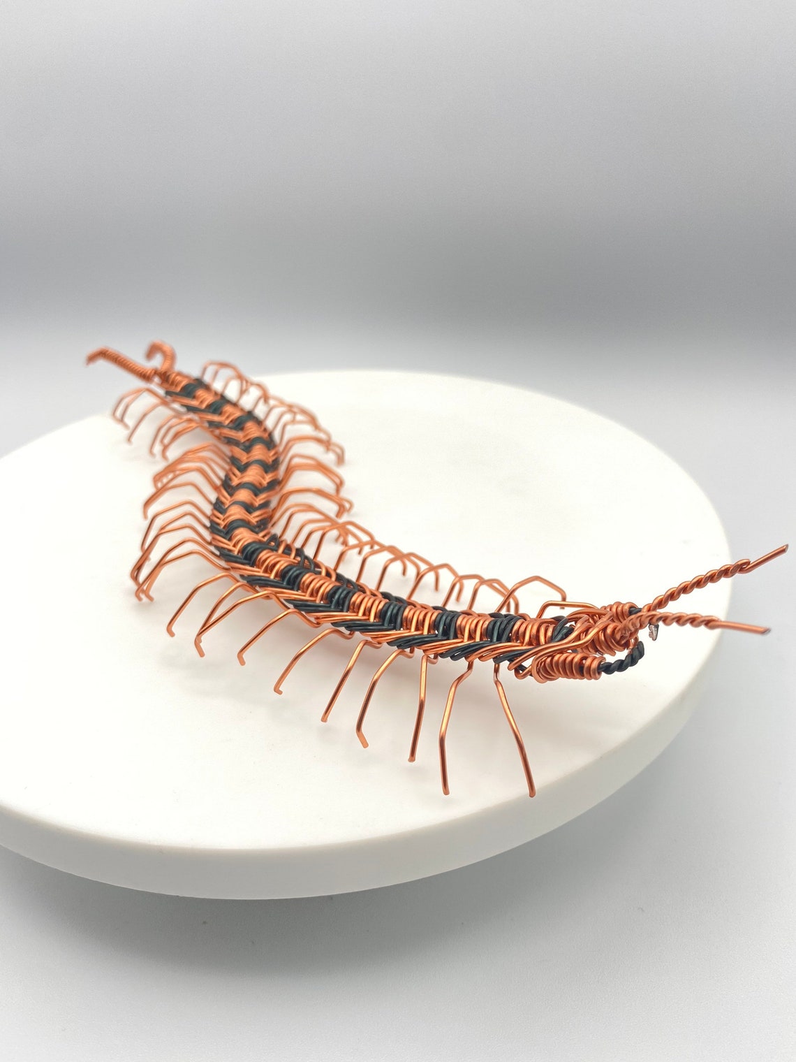 Life Size Centipede Wire Sculpture Centipede Metal Sculpture - Etsy