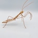 Praying Mantis Wire Sculpture - Etsy
