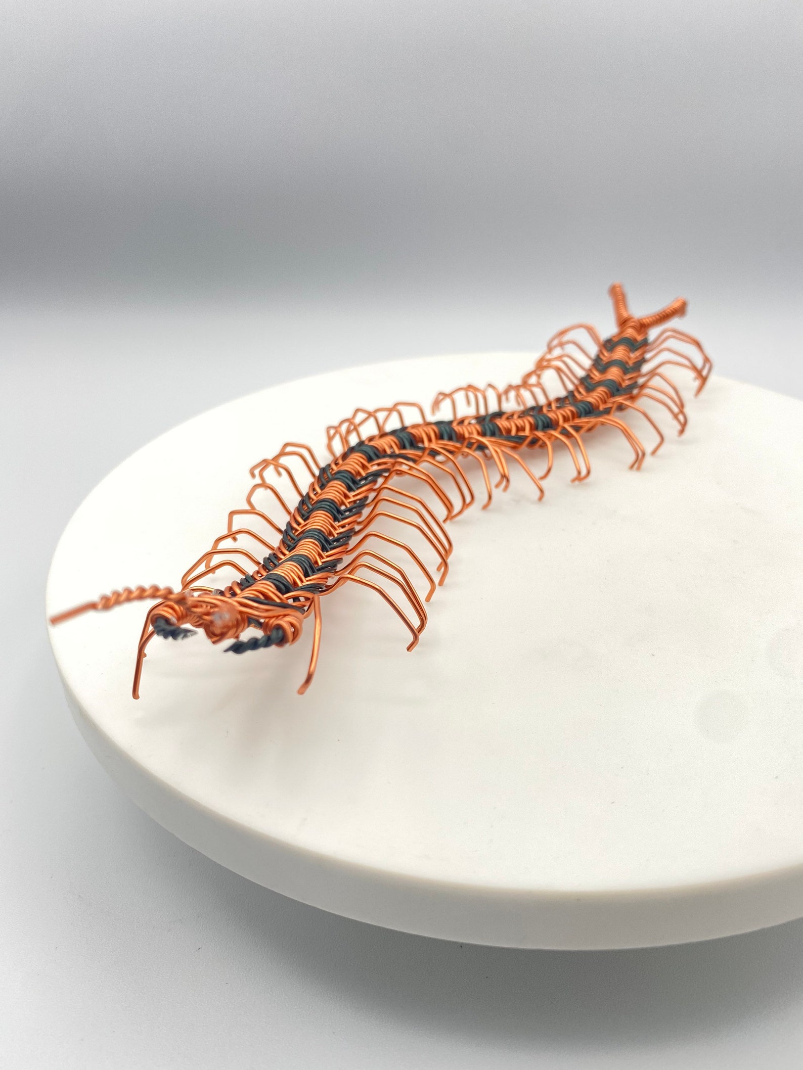 Life Size Centipede Wire Sculpture Centipede Metal Sculpture - Etsy