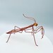 Praying Mantis Wire Sculpture - Etsy