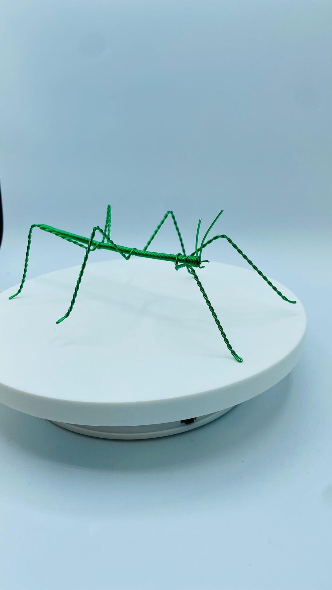 Stick Bug Wire Sculpture, Stick Insect, Metal Stick Bug - Etsy