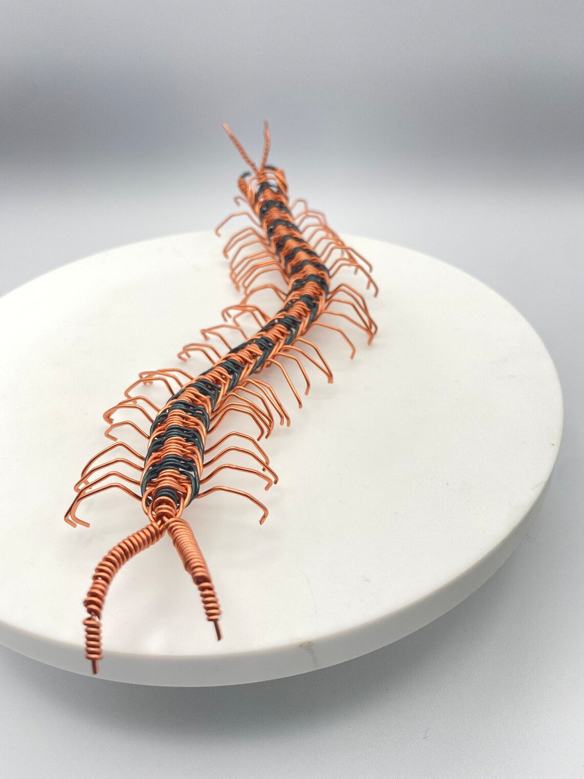 Life Size Centipede Wire Sculpture Centipede Metal Sculpture - Etsy