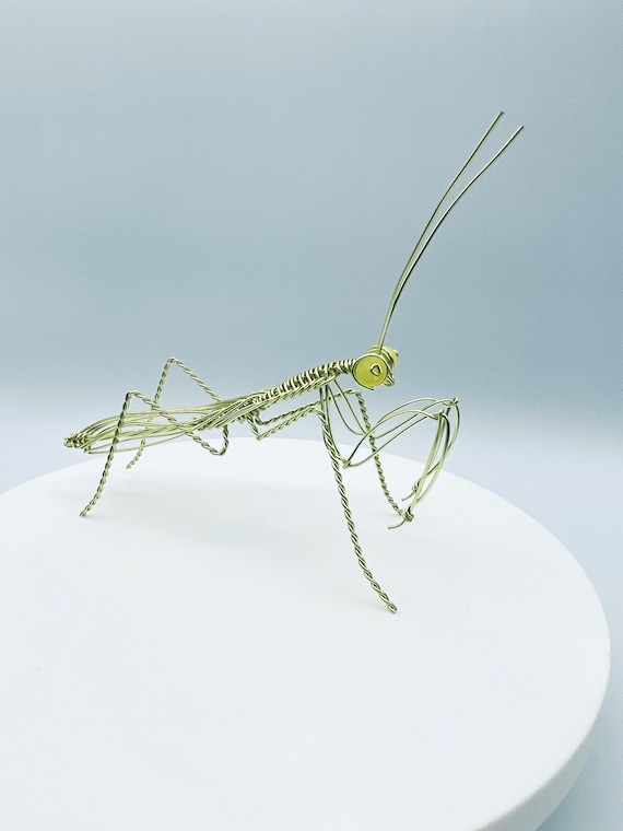 Egyptian Praying Mantis