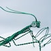 Praying Mantis Wire Sculpture - Etsy