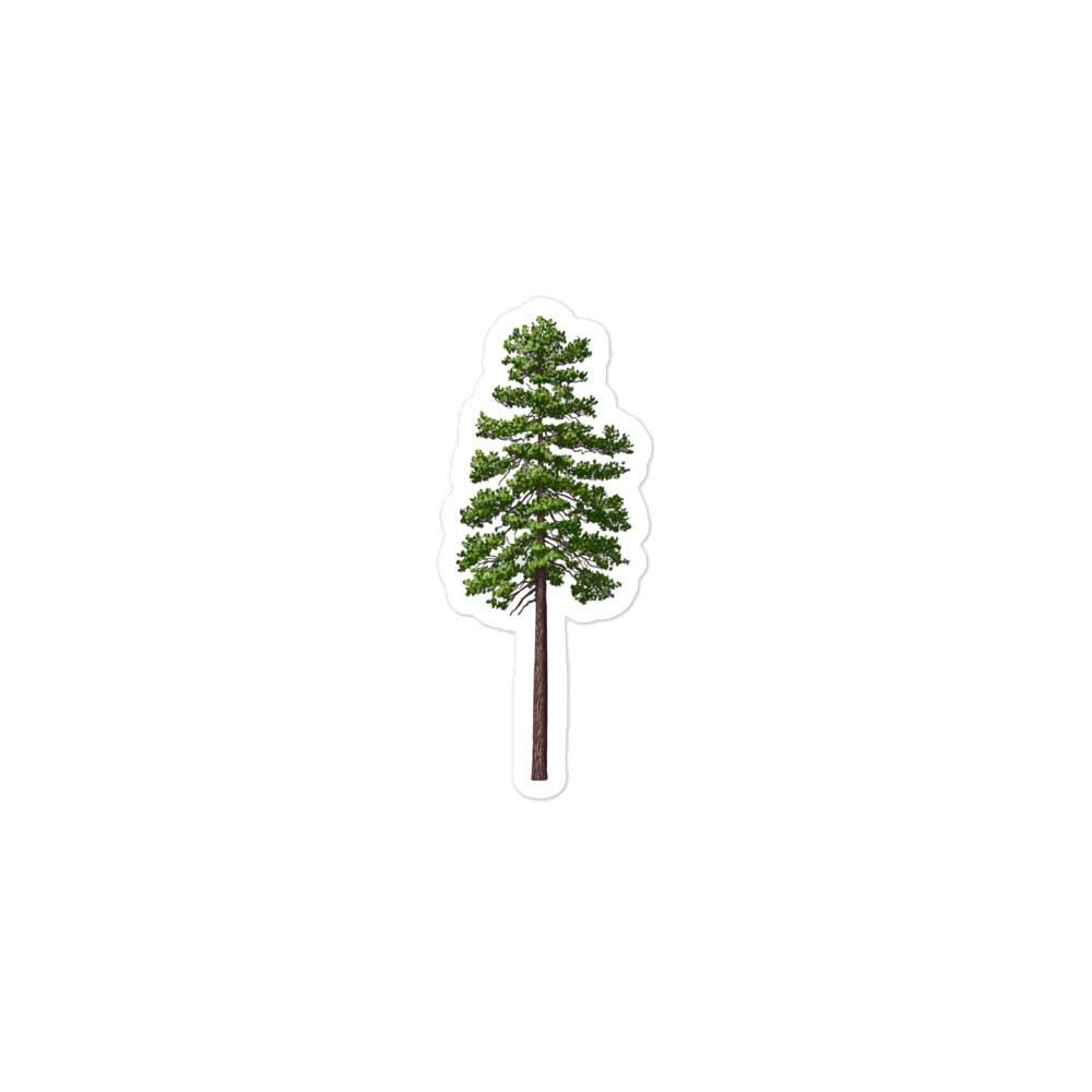 Ponderosa Pine Sticker - Etsy