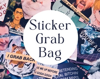 Cute Mystery Sticker Grab Bag - Etsy