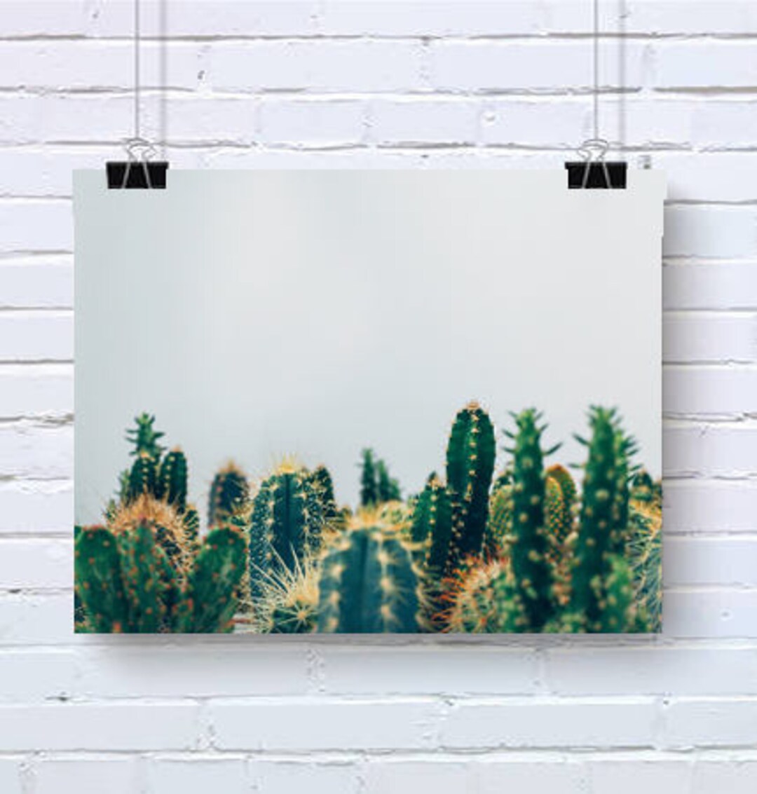Cactus Succulent Plants Nature Photography - Art Print Poster Wall Ar ...