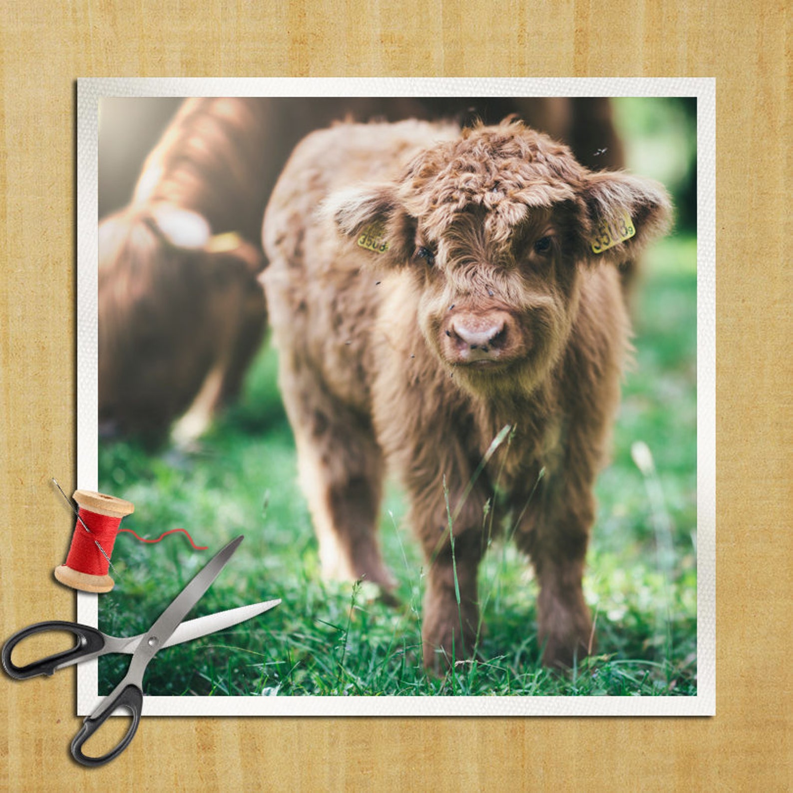 Highland Cows Animal Calf Baby Highland Cow Cushion Panel Upholstery ...