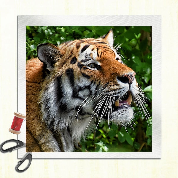 Tiger Fabric Panels - Etsy