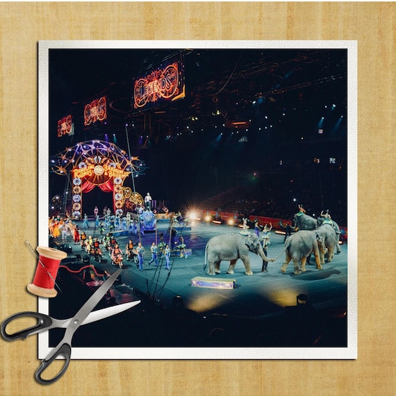 Circus Photography Cushion Panel Upholstery Cotton Fabric | Etsy