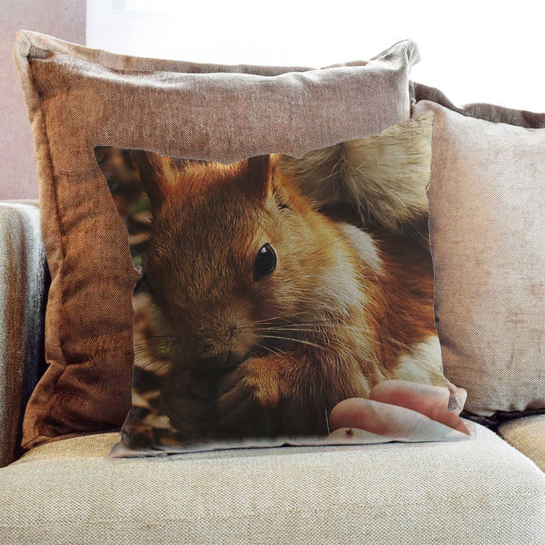 Red Squirrel Photography Decorative Pillow Throw Cushion Fabric , Case ...
