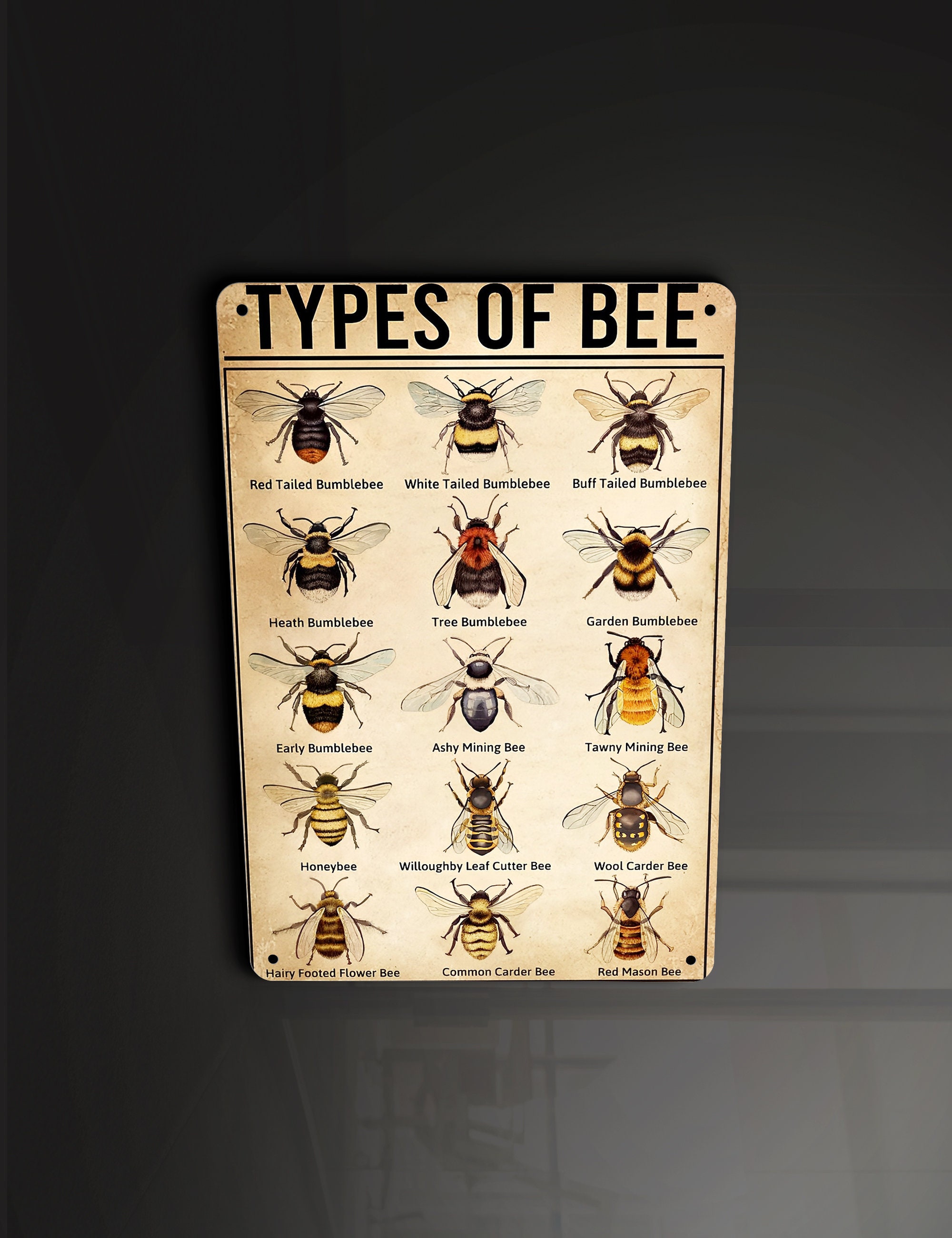 Types of Bee Honey Bumble Insect - Metal Sign Metal Plaque Wall Art ...