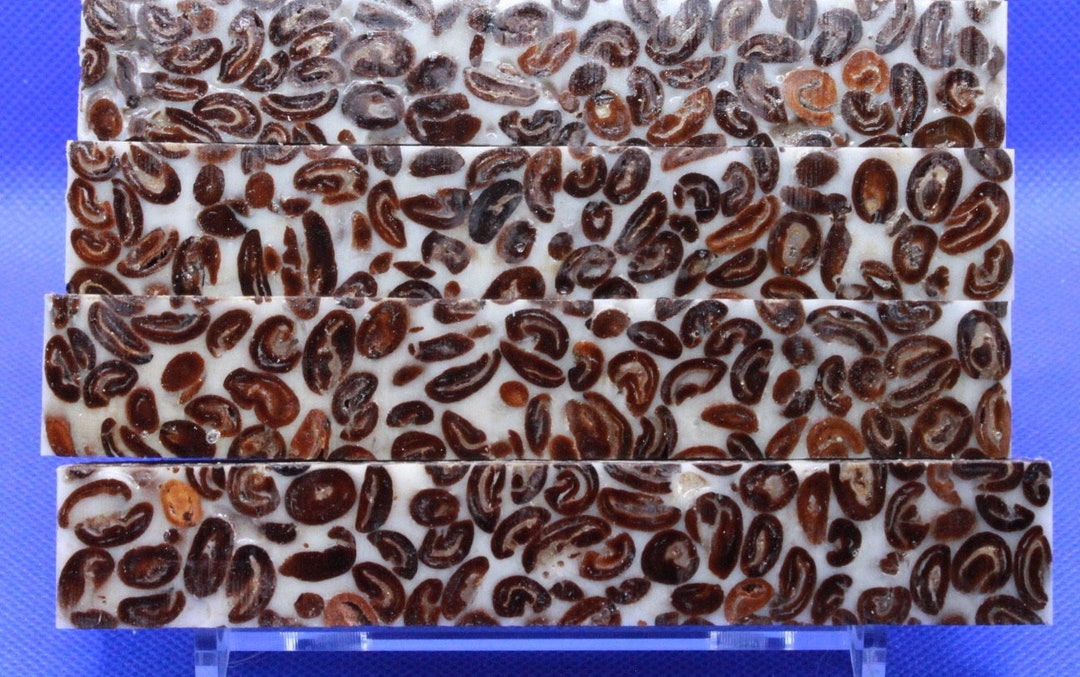 Coffee and Cream Bean Resin Pen Blanks - Etsy