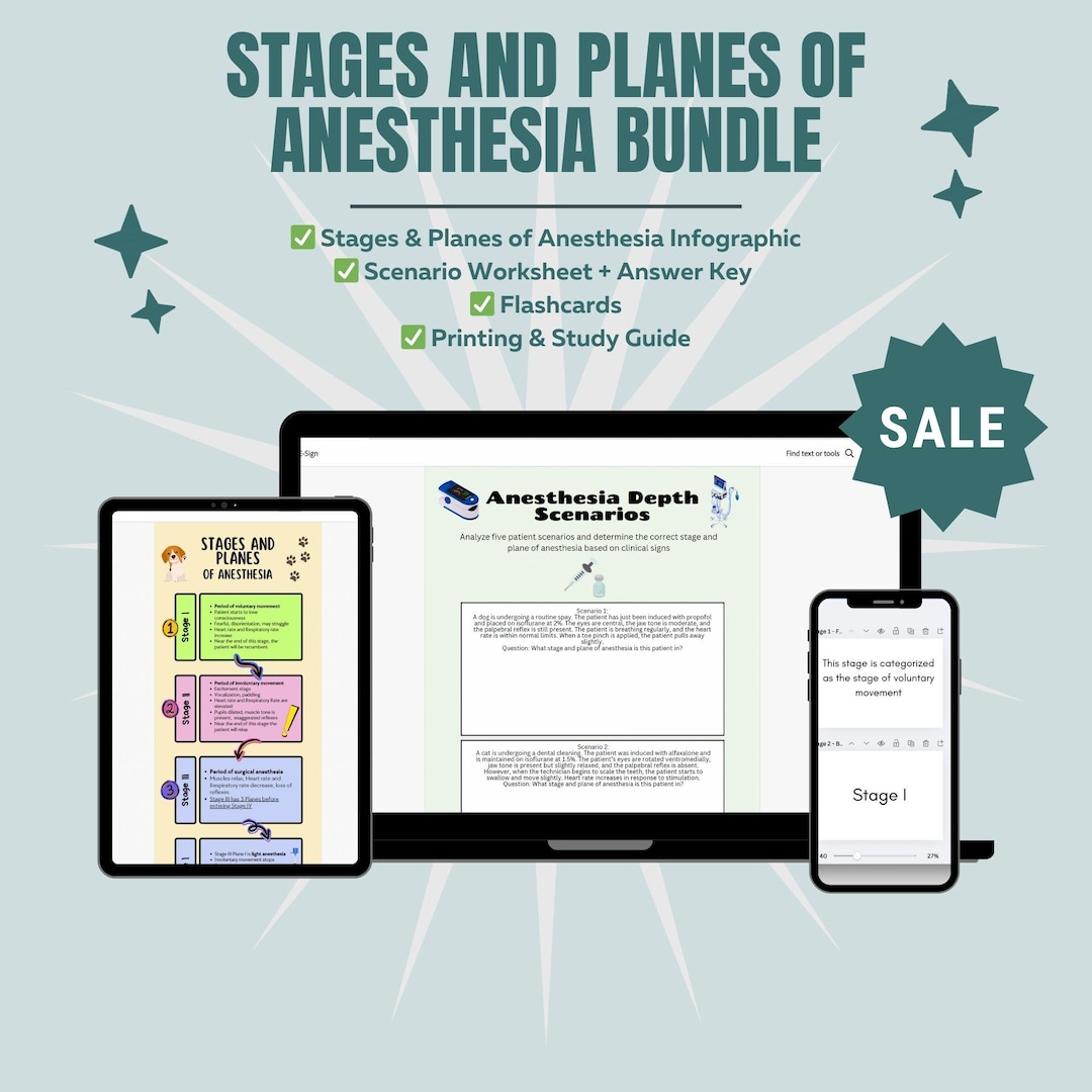 Stages & Planes of Anesthesia Study Guide + Flashcards + Scenarios ...