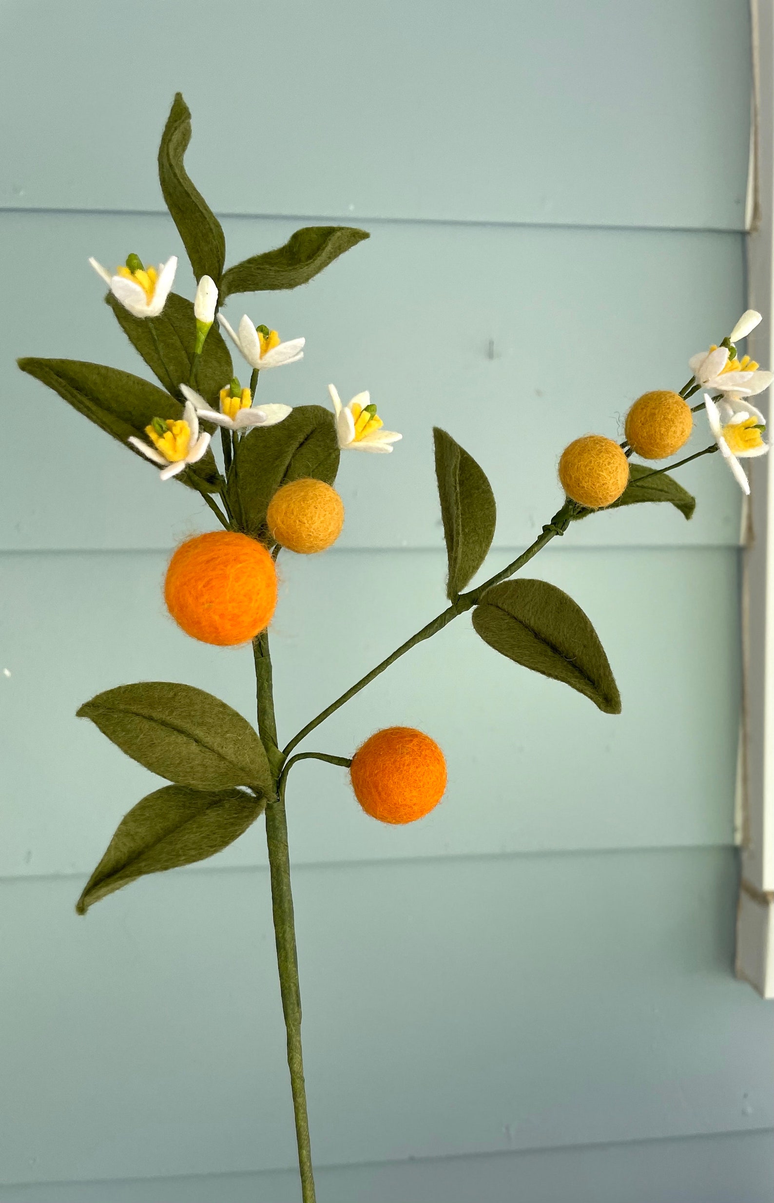 Felt Orange Stem, Orange Fruit Stem, Calamundin Stem, Orange Sprig ...
