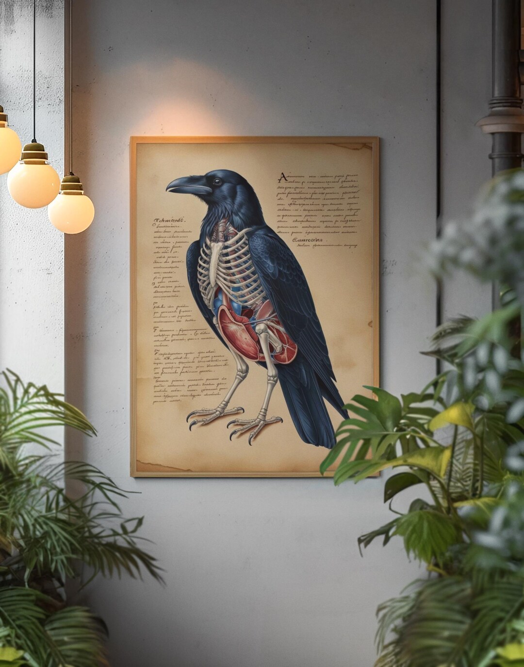 Artistic Raven Dissection Print - Dark Academia Gothic Art - Victorian ...