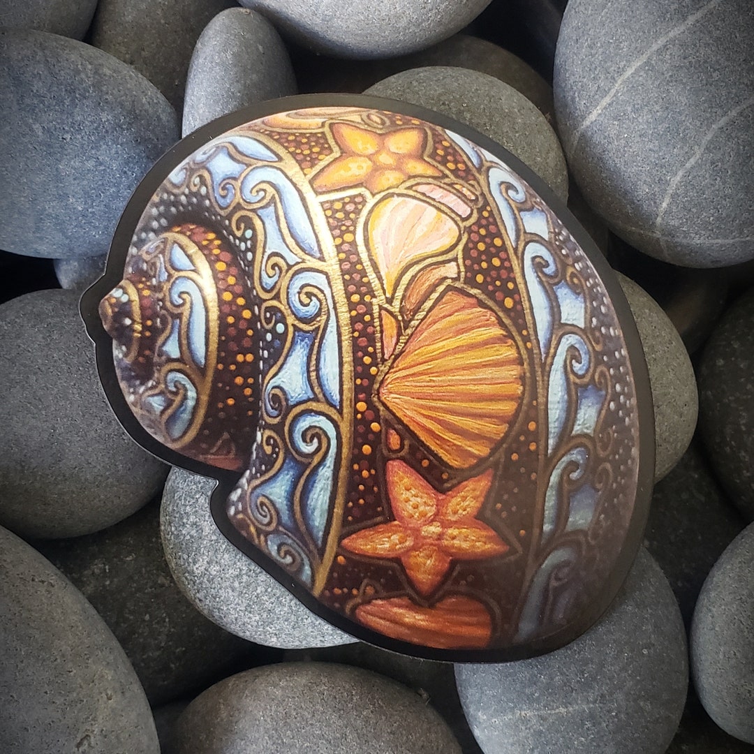 MAGNET PRINT 3x3 Sea Shell Spiral Mandala Snail Shell Refrigerator or ...