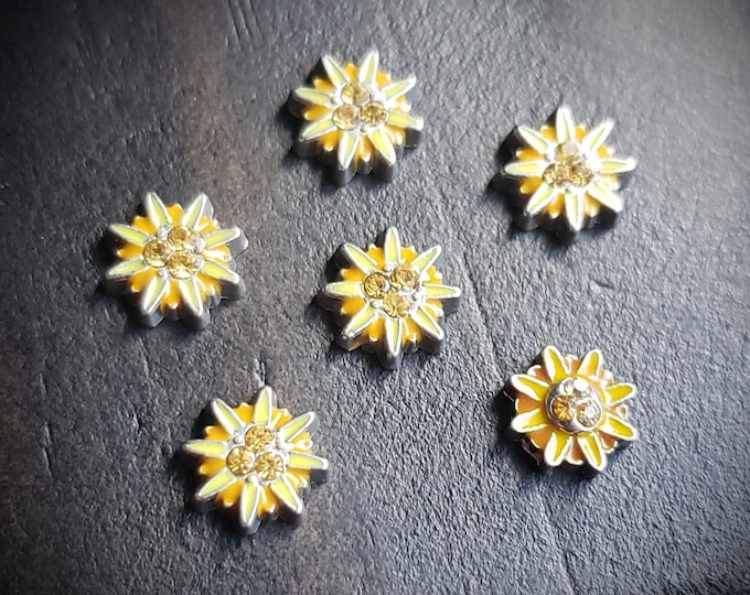 Cactus Floating Charm for Floating Lockets-1 Piece-10mmx7mm-acrylic ...