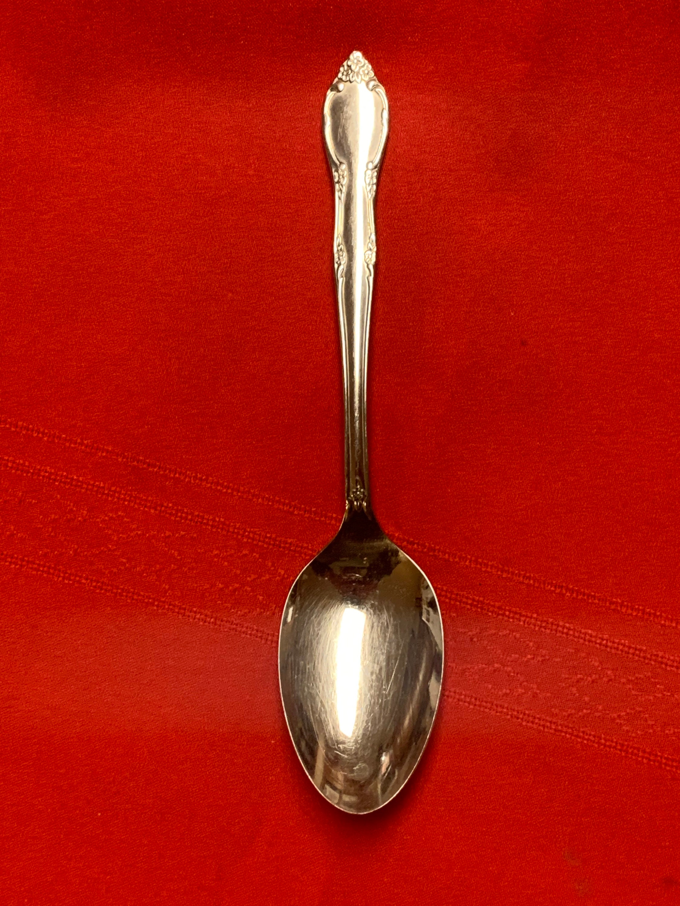 1 Oneida Mansion Park Stainless Steel Serving Spoon - Etsy