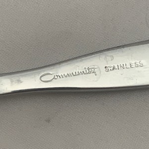 1 Oneida Community Frostfire Stainless Steel Serving Spoon - Etsy