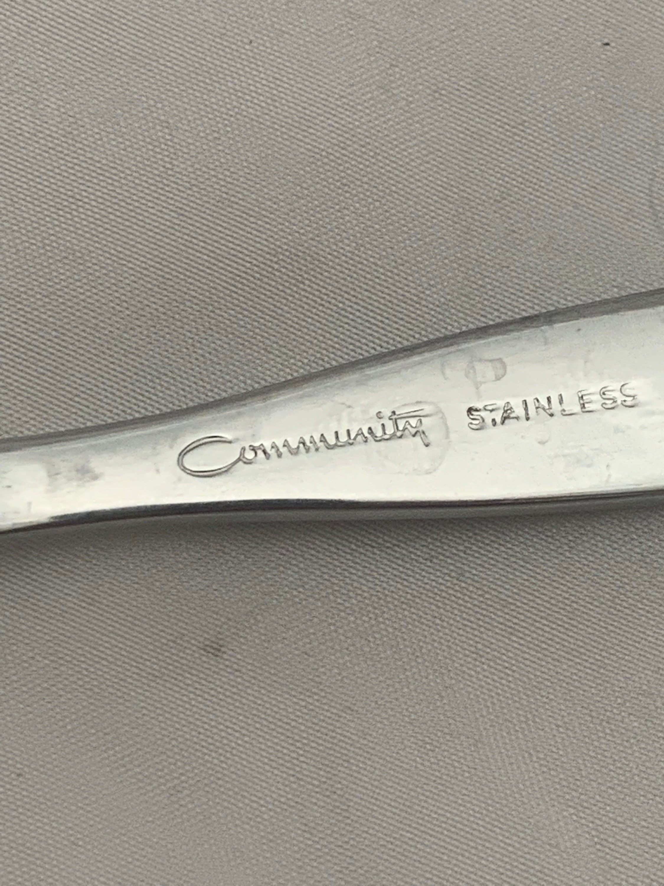 1 Oneida Community Frostfire Stainless Steel Serving Spoon - Etsy