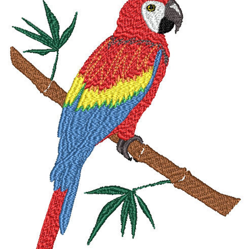 Parrot Embroidery - Etsy