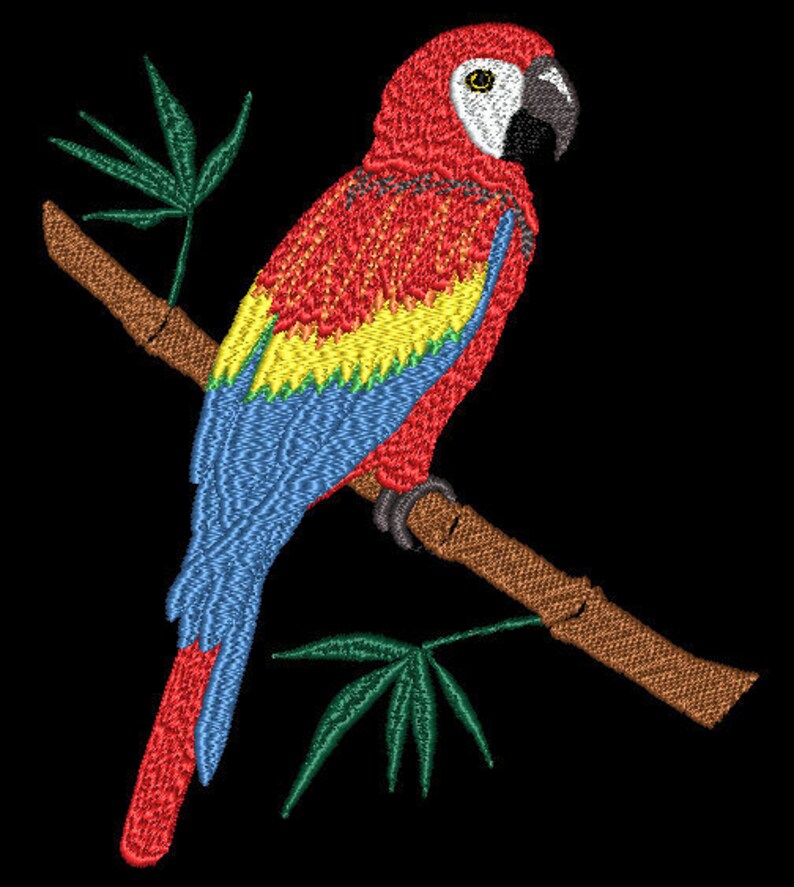 Mccaw Parrot Digitized Embroidery Design - Etsy