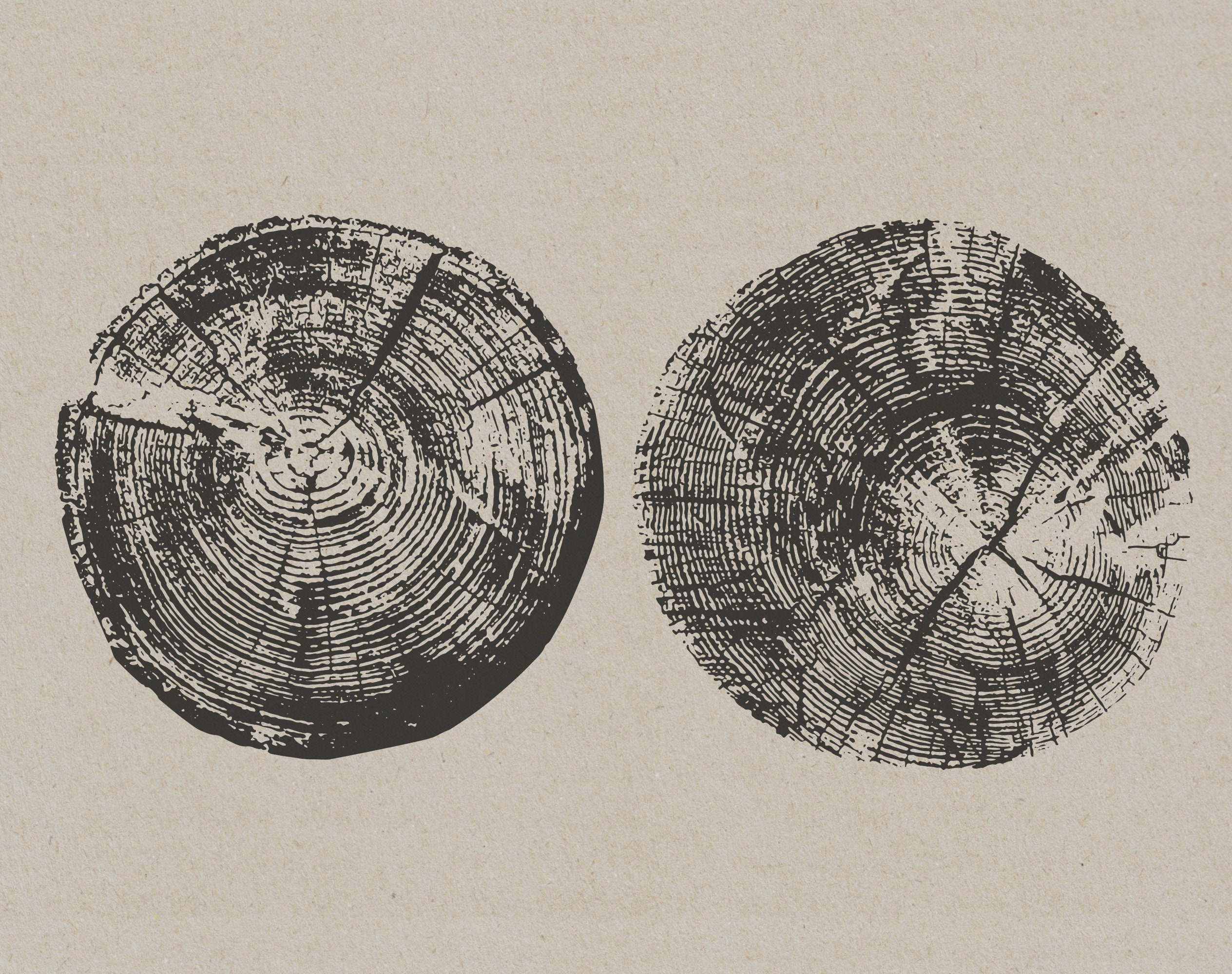 12 Large Tree Stump Textures - Etsy