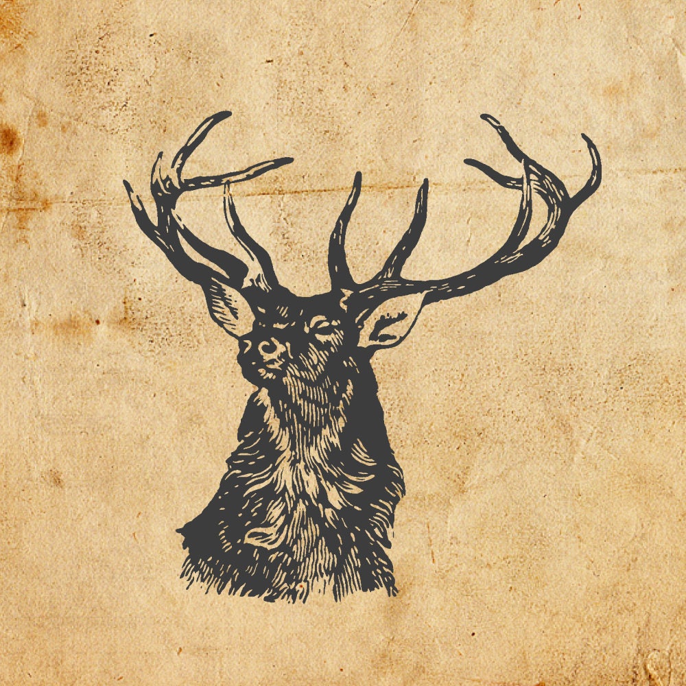 Vintage Stag. Vector, JPEG, PNG. Digital Download. Art, Print, T-shirts ...