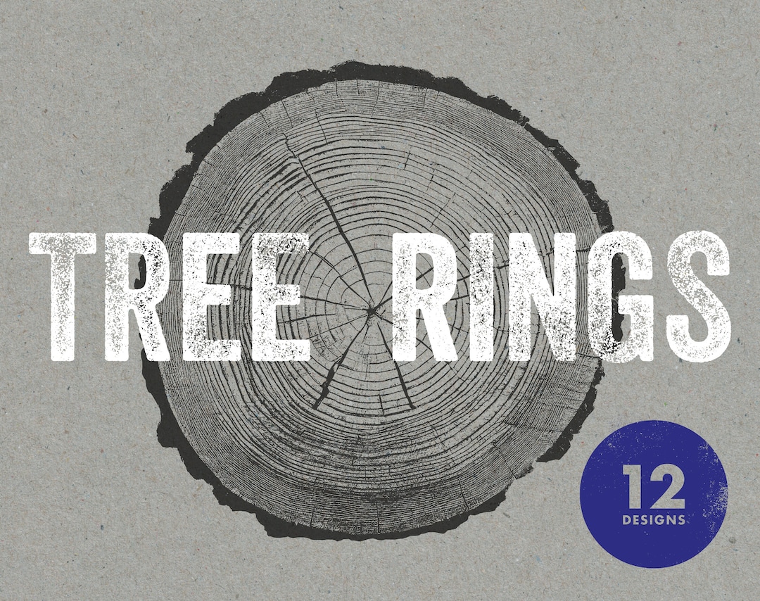 12 Large Tree Rings Textures - Etsy