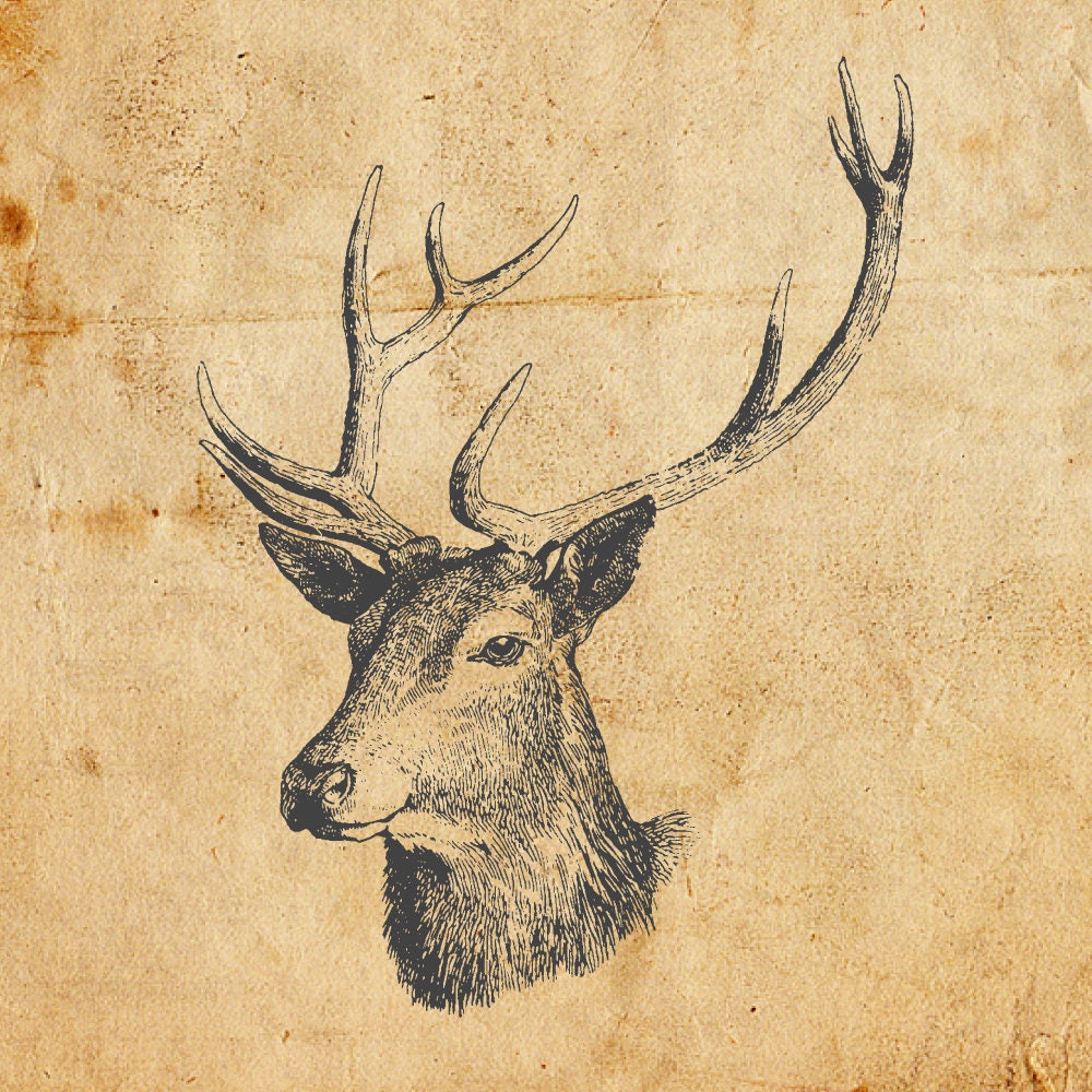 Vintage Deer. Vector, JPEG, PNG. Digital Download. Art, Print, T-shirts ...