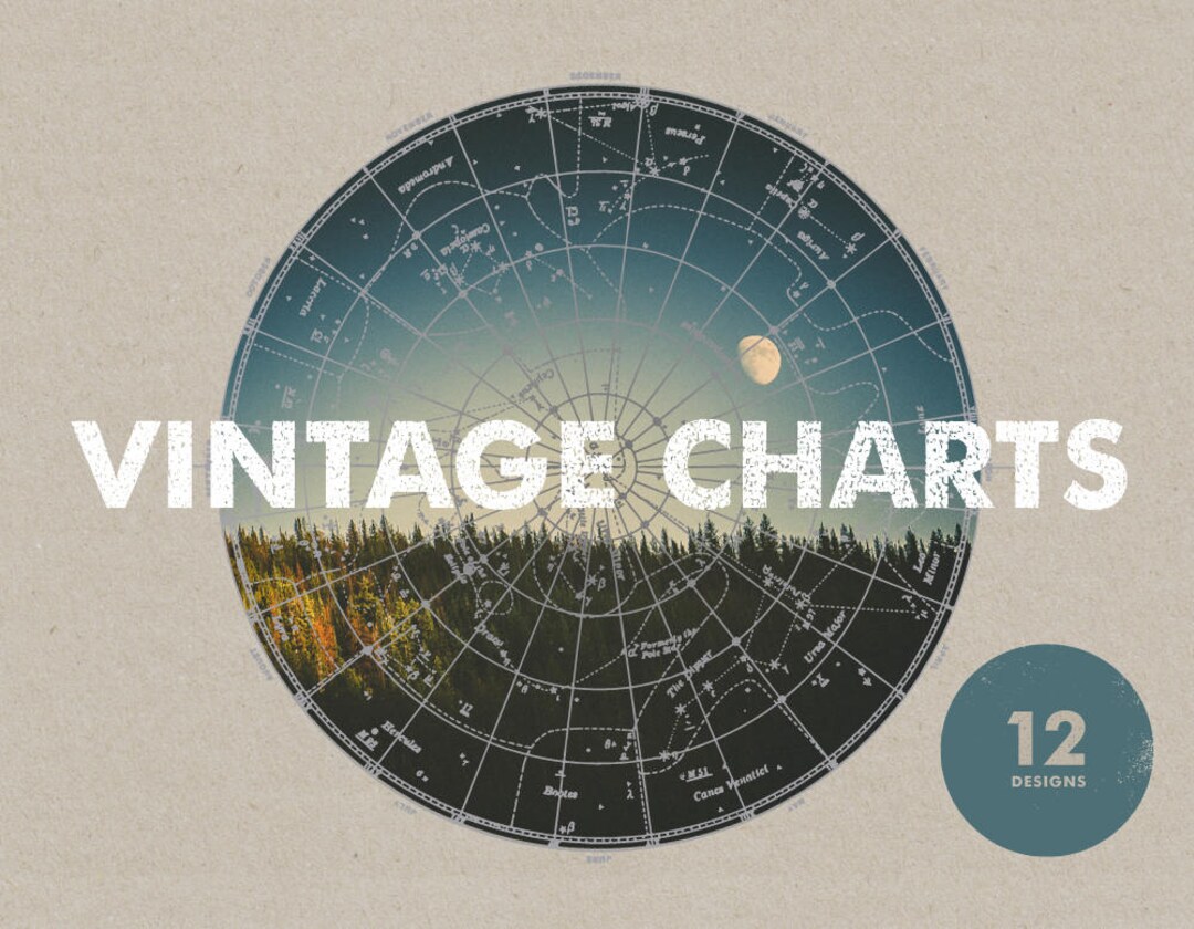 12 Vintage Charts. Vector & PNG Resources. Digital Download. Art, Print ...