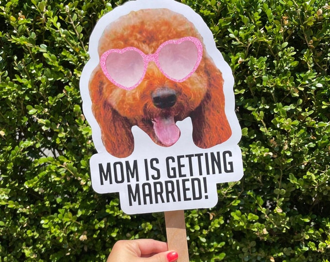 Face on a Stick, Photo Booth Props, Head on a Stick, Face Cutout ...