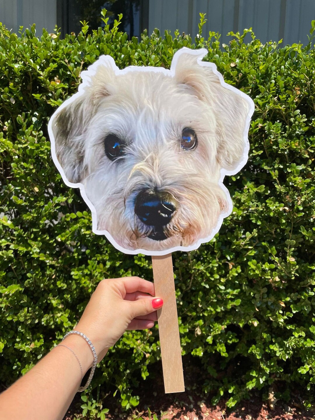 Face on a Stick, Photo Booth Props, Head on a Stick, Face Cutout ...