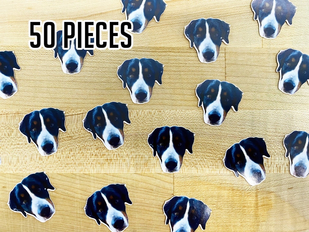 Custom Confetti, Dog Confetti, Personalized Confetti, Table Scatter ...