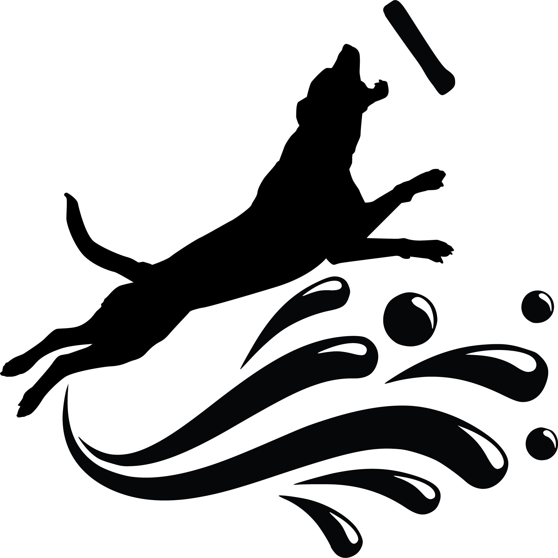 Dock Diving Splash - With a Bumper - Vinyl Window Decal - the Black in ...