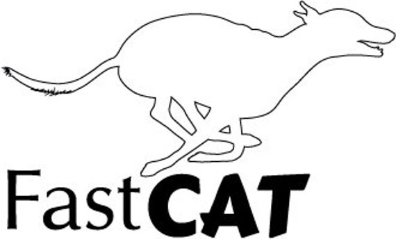 Fastcat Vinyl Window Decal the Black in the Sample is the - Etsy