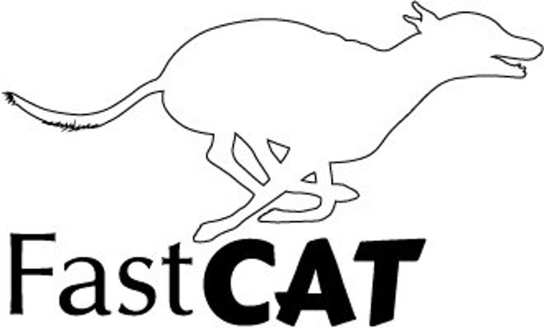 Fastcat Vinyl Window Decal the Black in the Sample is the color of the ...
