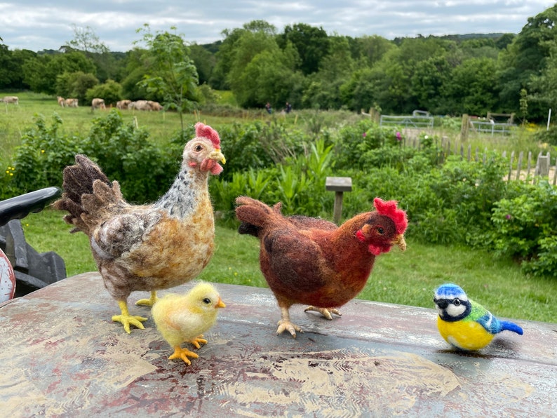Hen - Needle Felted, Various Breeds, Finished Wool Sculpture - Etsy
