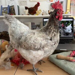 Hen - Needle Felted, Various Breeds, Finished Wool Sculpture - Etsy