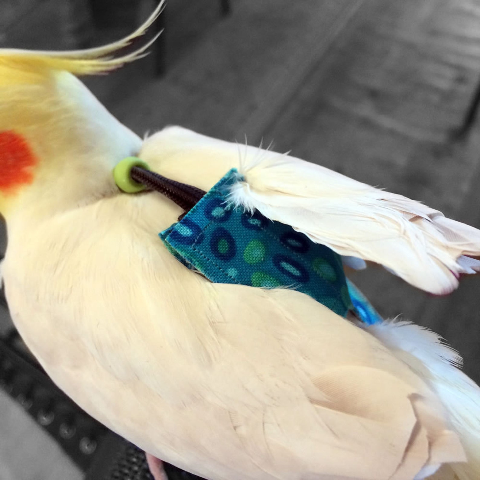 A Nappy/diaper/flight Suite for Your Cockatiel Pebbles | Etsy
