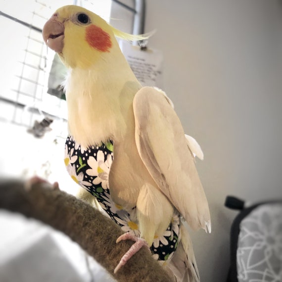 A Nappy/diaper/flight Suite for Your Cockatiel White Daisy - Etsy