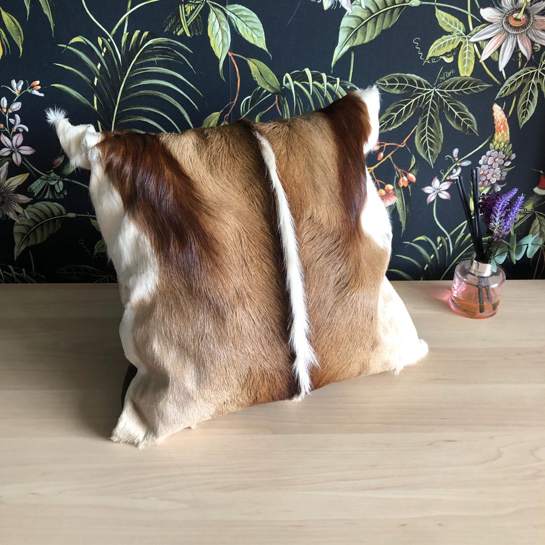 Vintage Real Antelope / Springbok Hide Cushion, Suede Zip Backing ...