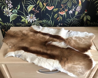Springbok Half Hide - Etsy