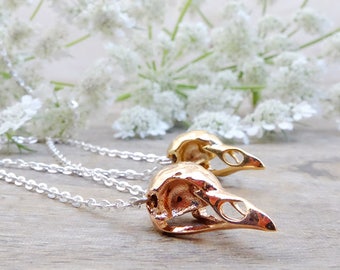 Bird skull necklace | Etsy