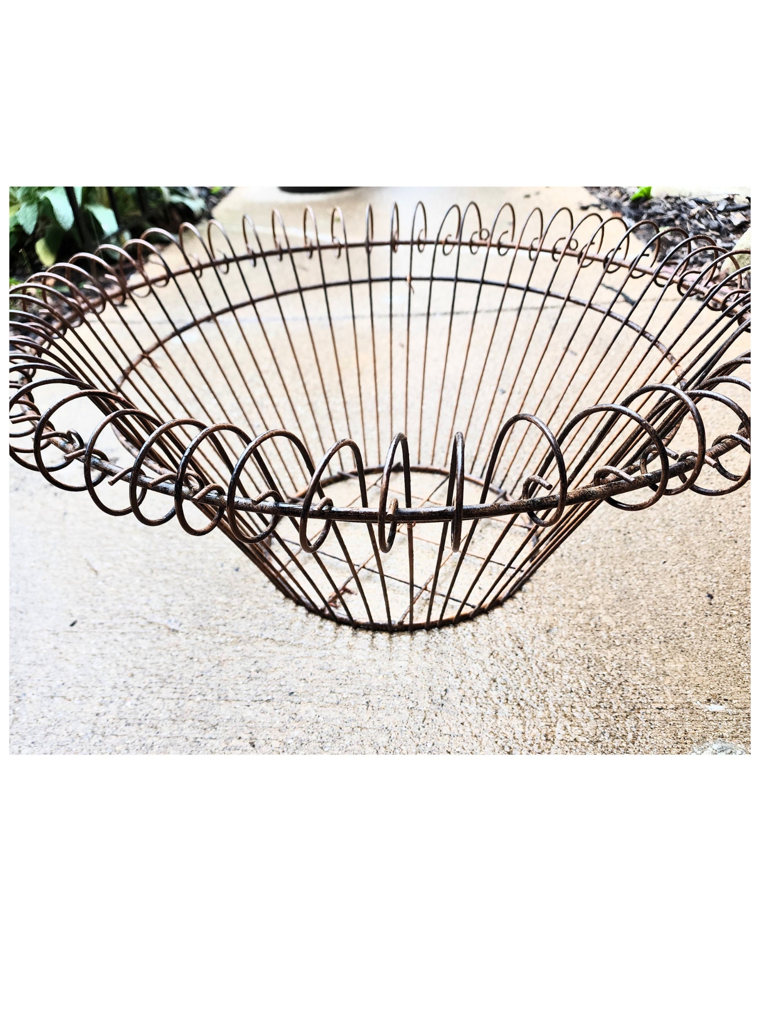 Large Wire Planter Georgian Wire Planter Vintage Wire Planter French ...