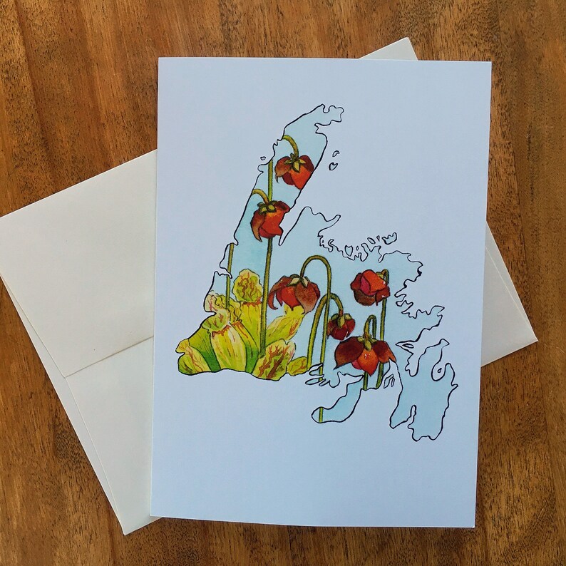 Greeting Card Newfoundland Pitcher Plant Canadian Provincial Flowers - Etsy