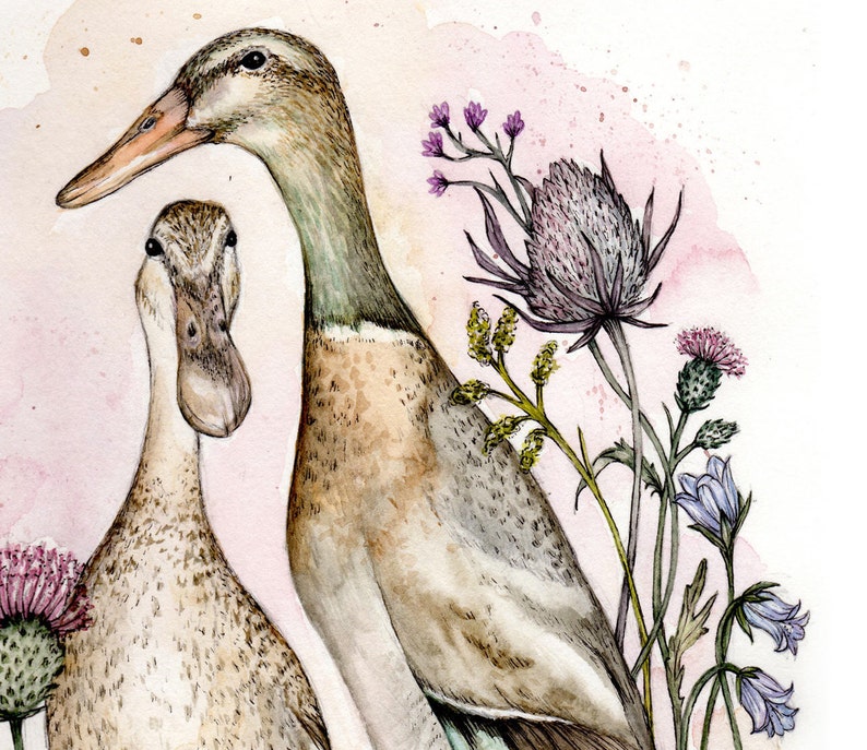 Indian Runner Ducks Wild Flowers Watercolour Thistles Bird - Etsy