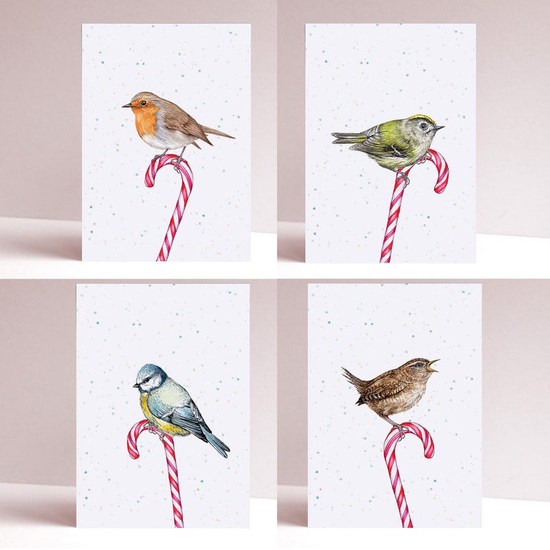 Bird Christmas Card - Etsy