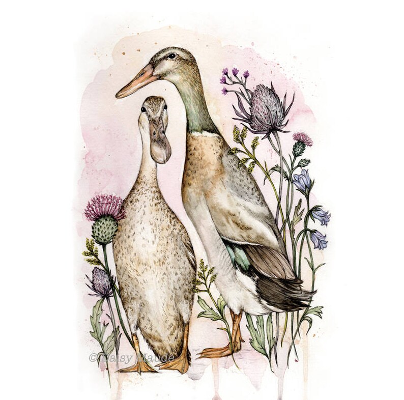 Indian Runner Ducks Wild Flowers Watercolour Thistles Bird | Etsy